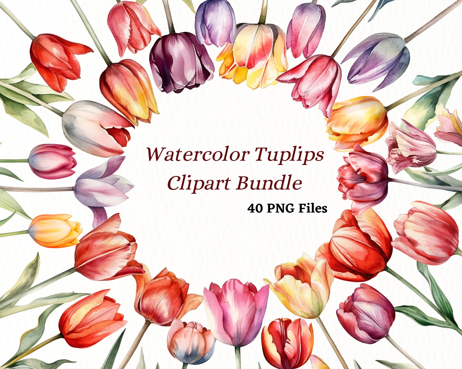 Watercolor Tulips Clip Art Bundle, Watercolor Clipart, PNG Files, SVG ...