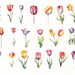 Watercolor Tulips Clip Art Bundle, Watercolor Clipart, PNG Files, SVG ...