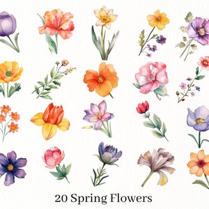 Seasonal Watercolor Flower Clipart Bundle, PNG Files, SVG Files, Spring ...