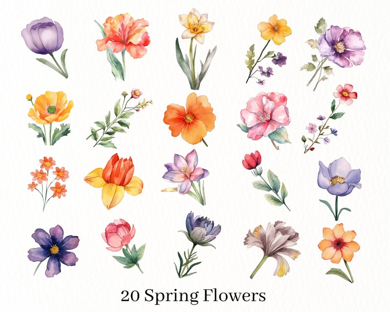 Seasonal Watercolor Flower Clipart Bundle PNG Digital Files - Etsy