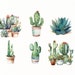 Watercolor Cactus Clipart Bundle, Watercolor Clipart, Cacti Clipart ...