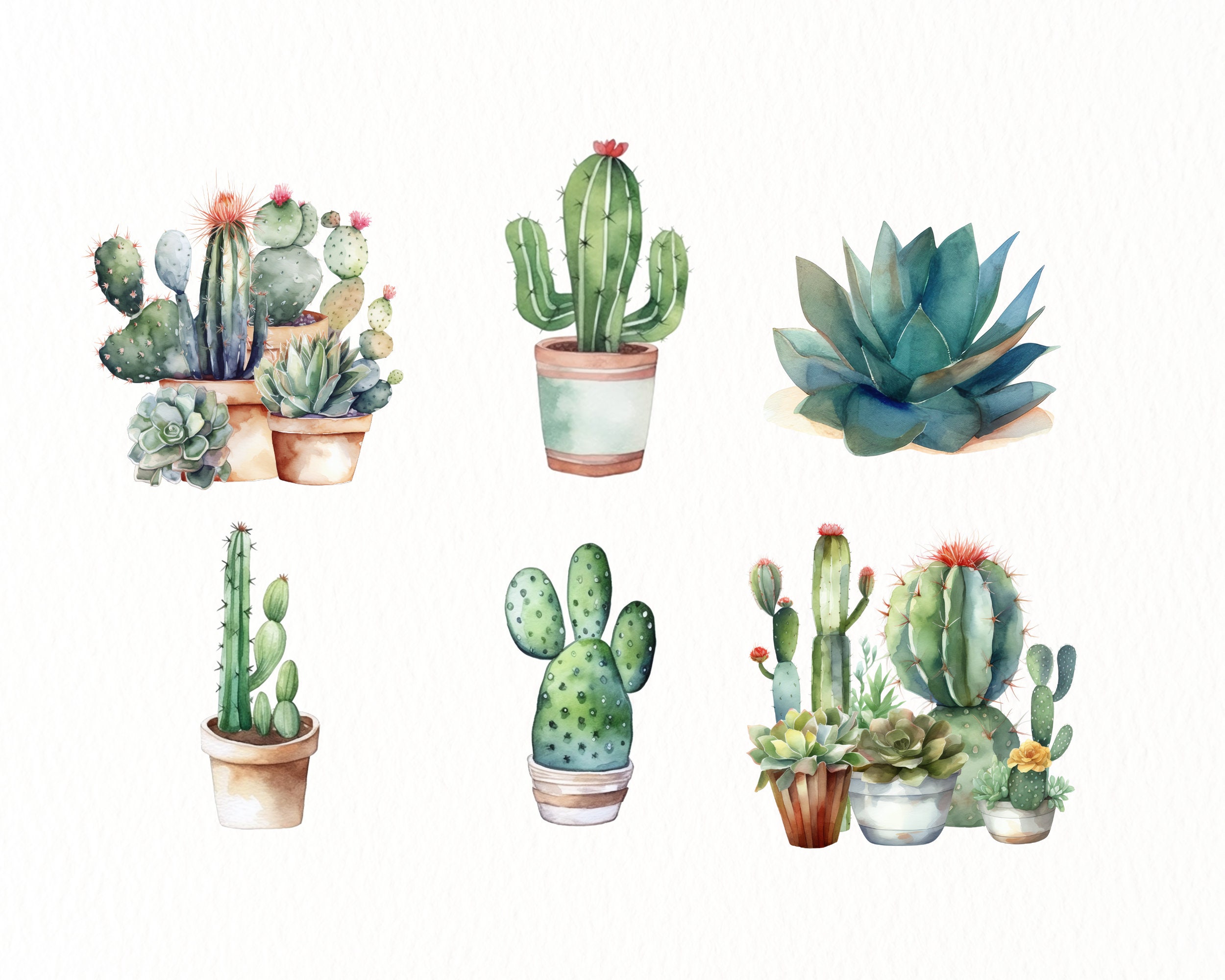 Watercolor Cactus Clipart Bundle, Watercolor Clipart, Cacti Clipart ...
