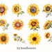 Watercolor Sunflower Clip Art Bundle, Watercolor Clipart, Floral ...