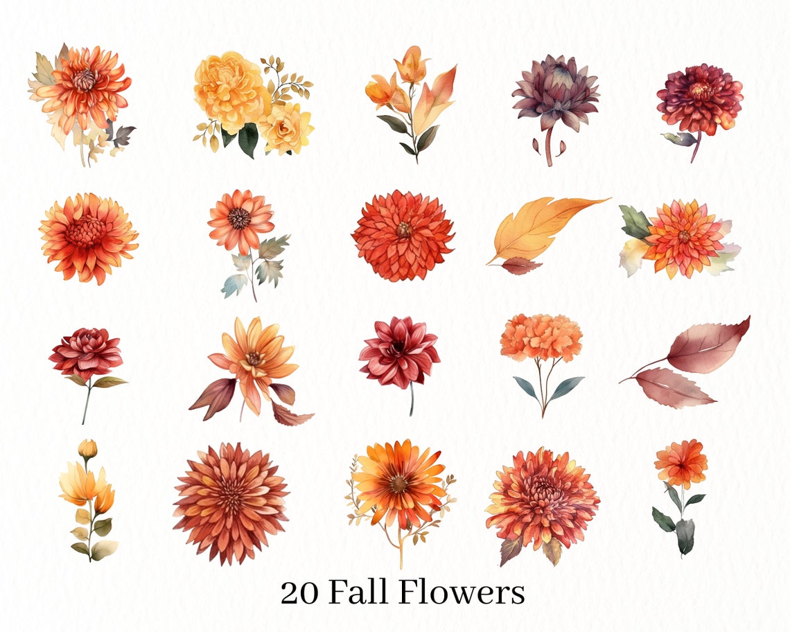 Fall Watercolor Flowers Clipart Bundle, Watercolor Clipart, Floral ...