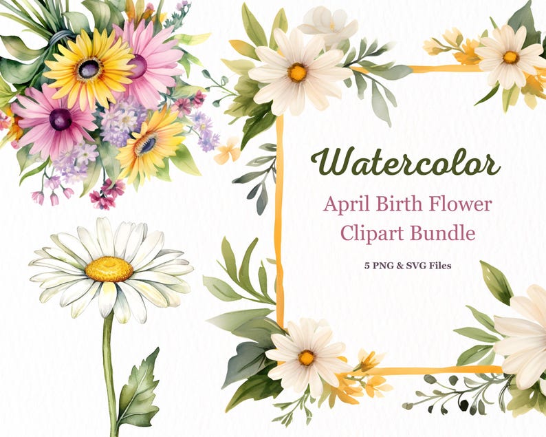 April Birth Flower Clipart Bundle, Daisy Bouquet, Watercolor Daisy ...