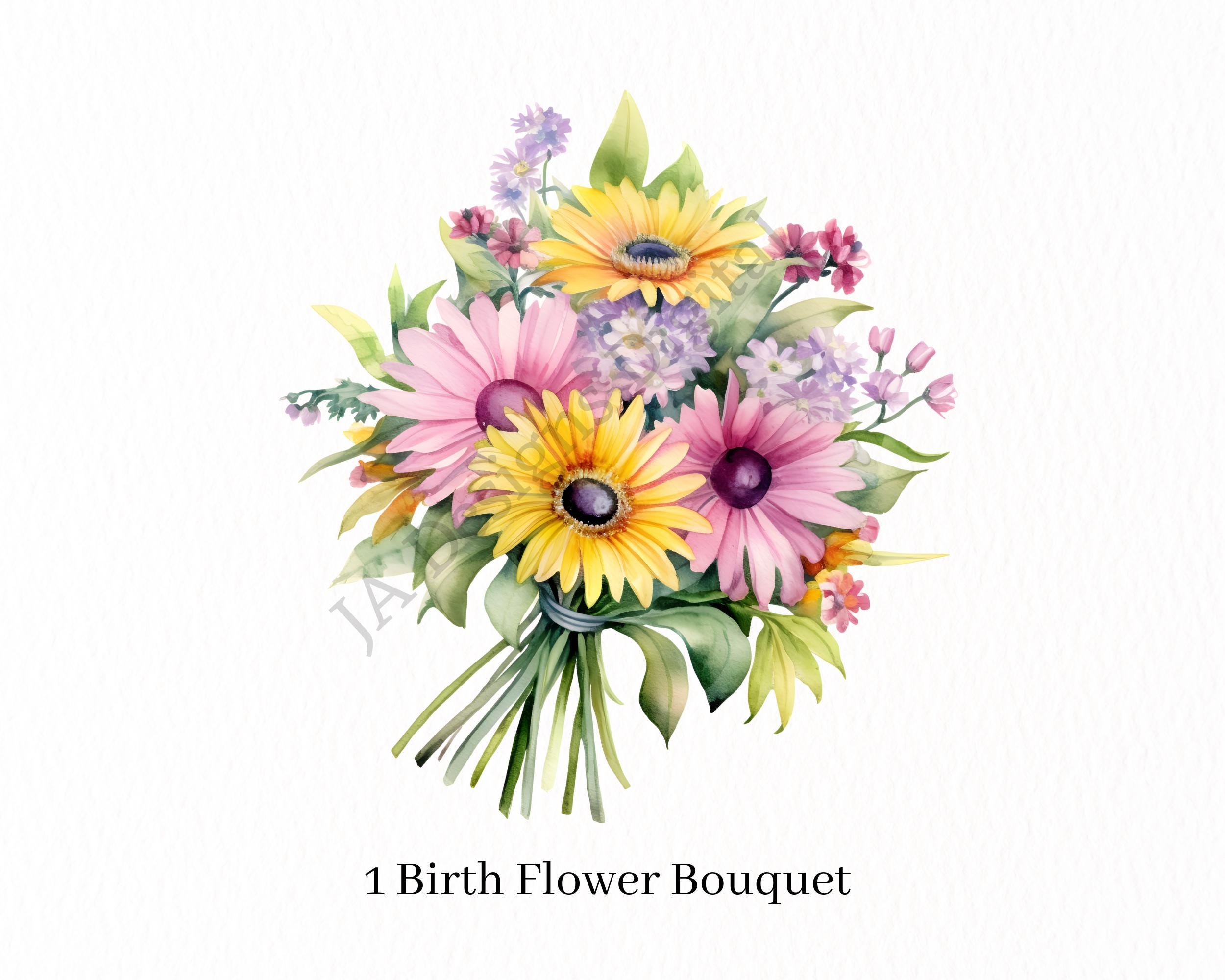 April Birth Flower Clipart Bundle, Daisy Bouquet, Watercolor Daisy ...