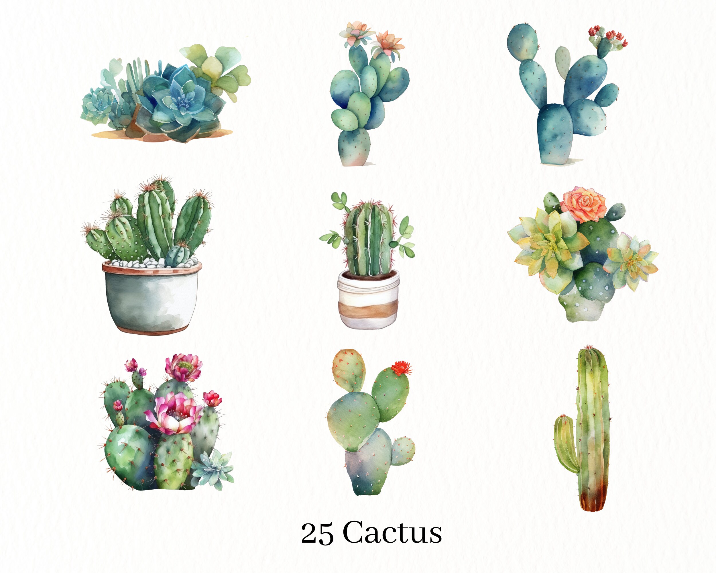 Watercolor Cactus Clipart Bundle, Watercolor Clipart, Cacti Clipart ...