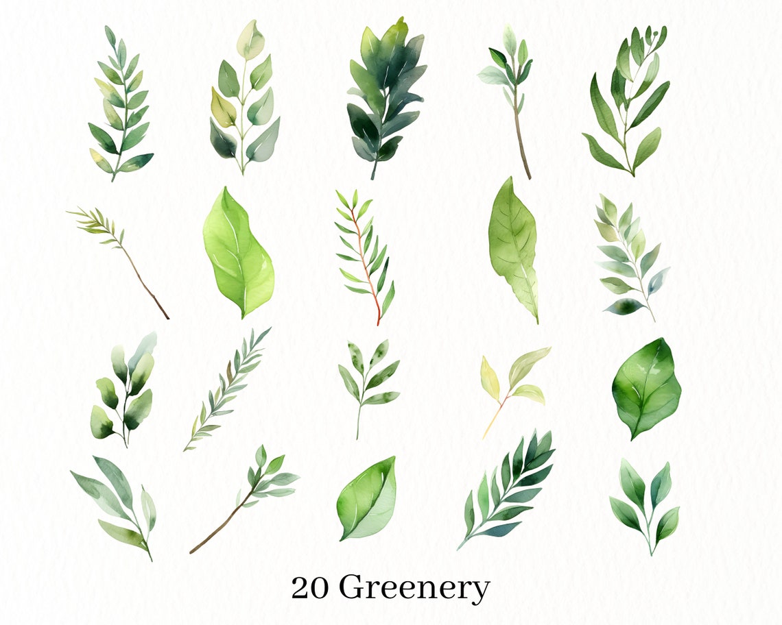 Summer Watercolor Flower Clipart Bundle, PNG & SVG (digital Download ...