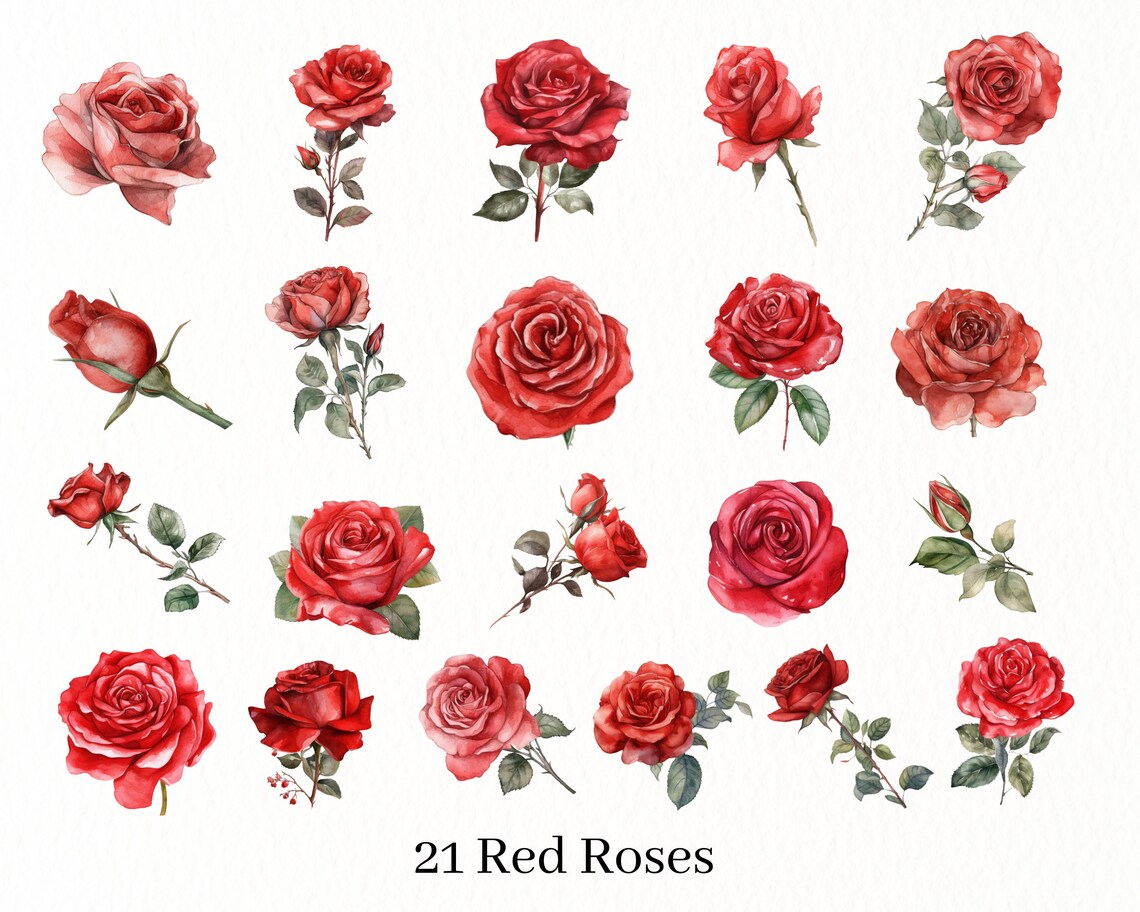 Watercolor Red Rose Clipart, Rose Bouquet, Watercolor Roses, Watercolor ...