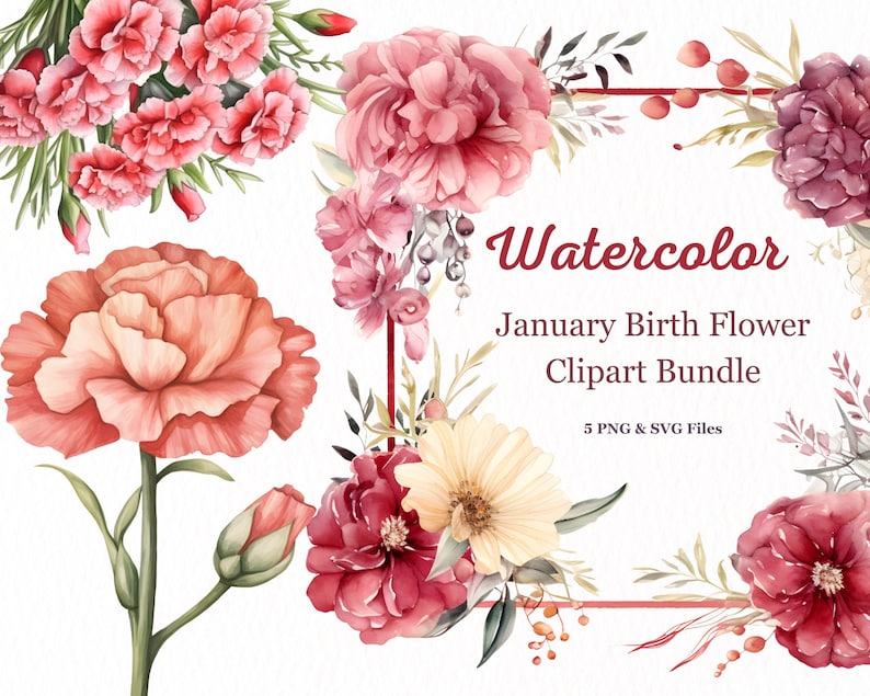 January Birth Flower Clipart Bundle, Carnation Bouquet, Watercolor ...