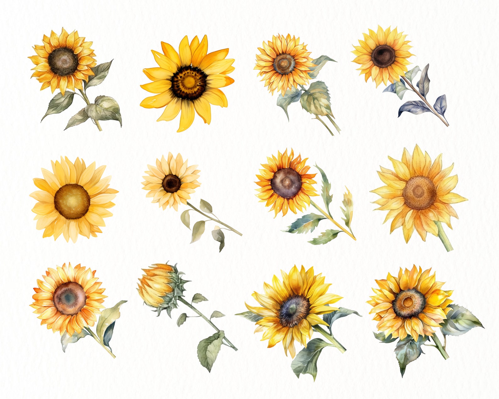 Watercolor Sunflower Clip Art Bundle, Watercolor Clipart, Floral ...