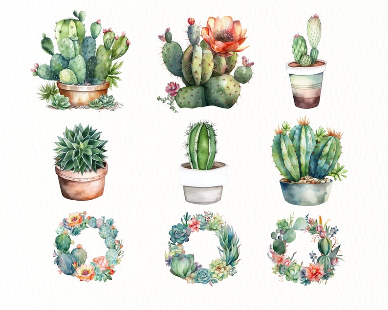 Watercolor Cactus Clipart Bundle, Watercolor Clipart, Cacti Clipart ...