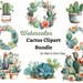 Watercolor Cactus Clipart Bundle, Watercolor Clipart, Cacti Clipart ...