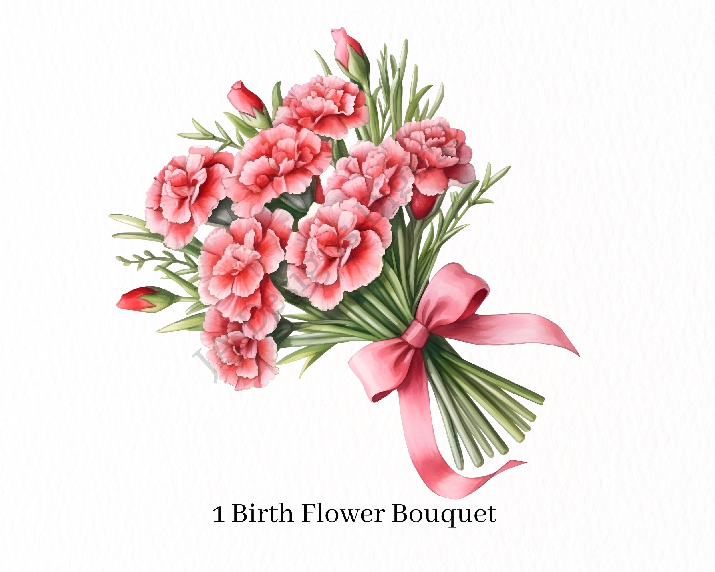 January Birth Flower Clipart Bundle, Carnation Bouquet, Watercolor ...