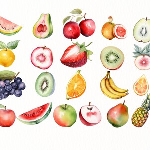 Watercolor Fruit Clipart Bundle, PNG & SVG Digital Files, Watercolor ...
