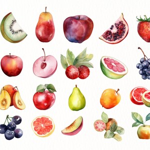 Watercolor Fruit Clipart Bundle, PNG & SVG Digital Files, Watercolor ...