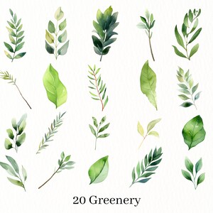Seasonal Watercolor Flower Clipart Bundle, PNG Files, SVG Files, Spring ...