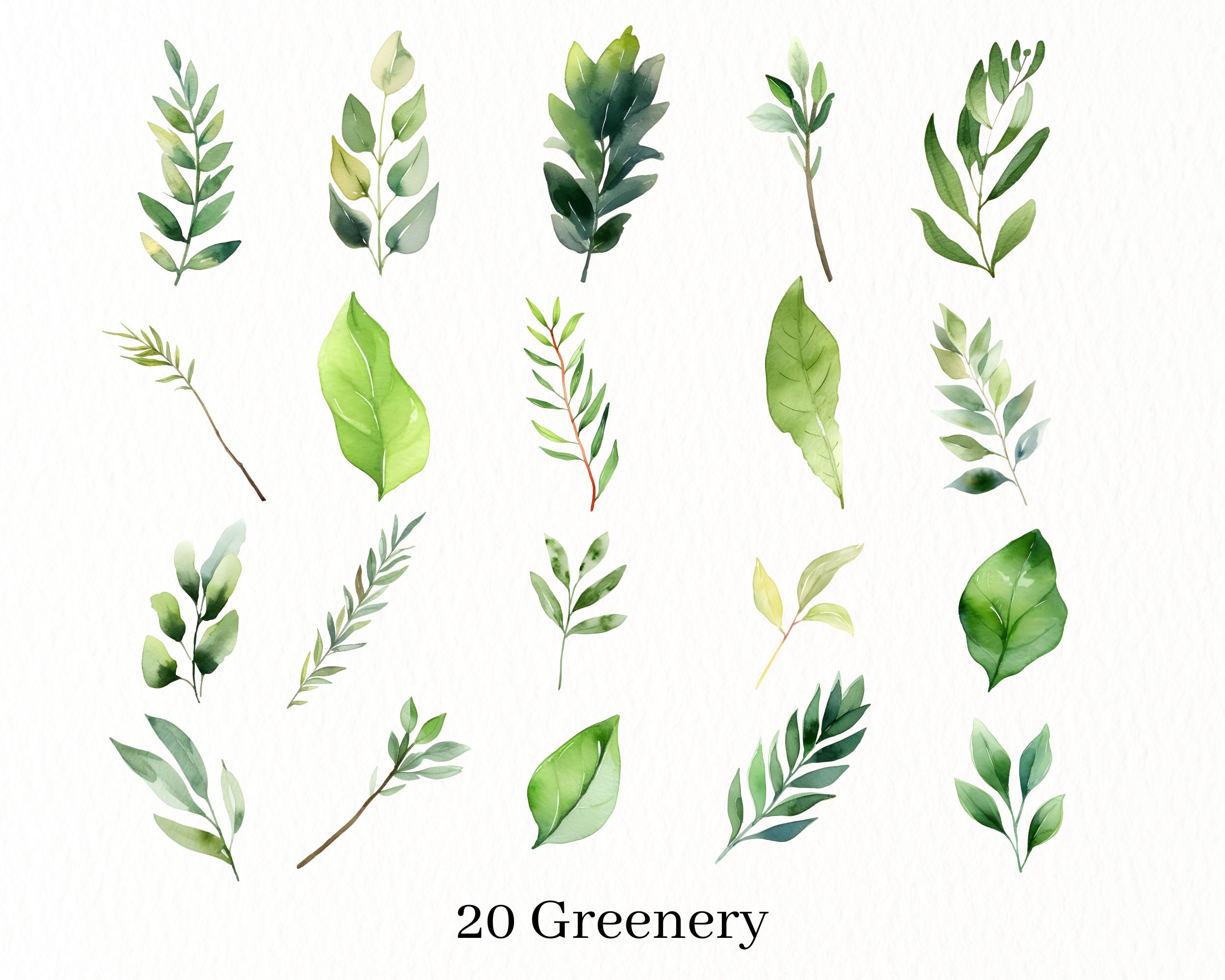 Seasonal Watercolor Flower Clipart Bundle PNG Digital Files - Etsy