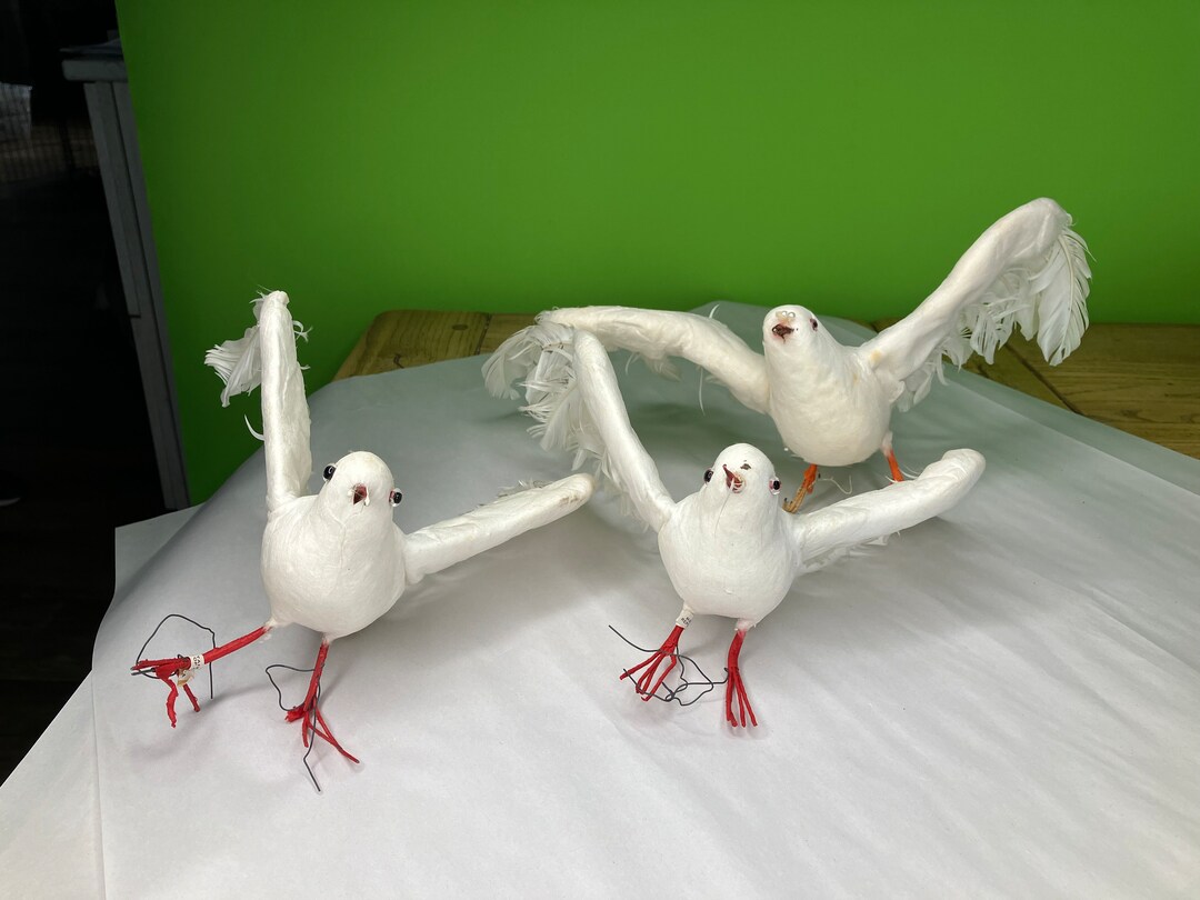 Vintage Hanging Doves Soft White Feathered Set of 3 Rare Find - Etsy