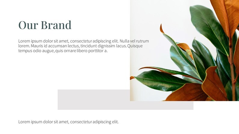 Neutral, Warm and Pastel Colours Powerpoint Template Elegant, Feminine ...