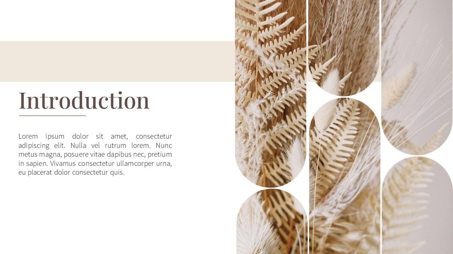 Beautiful Warm Tone Powerpoint Template - Elegant, Feminine, Classy ...