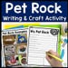 Pet Rock Craft and Writing Activity | Rocks & Minerals Activity or ...