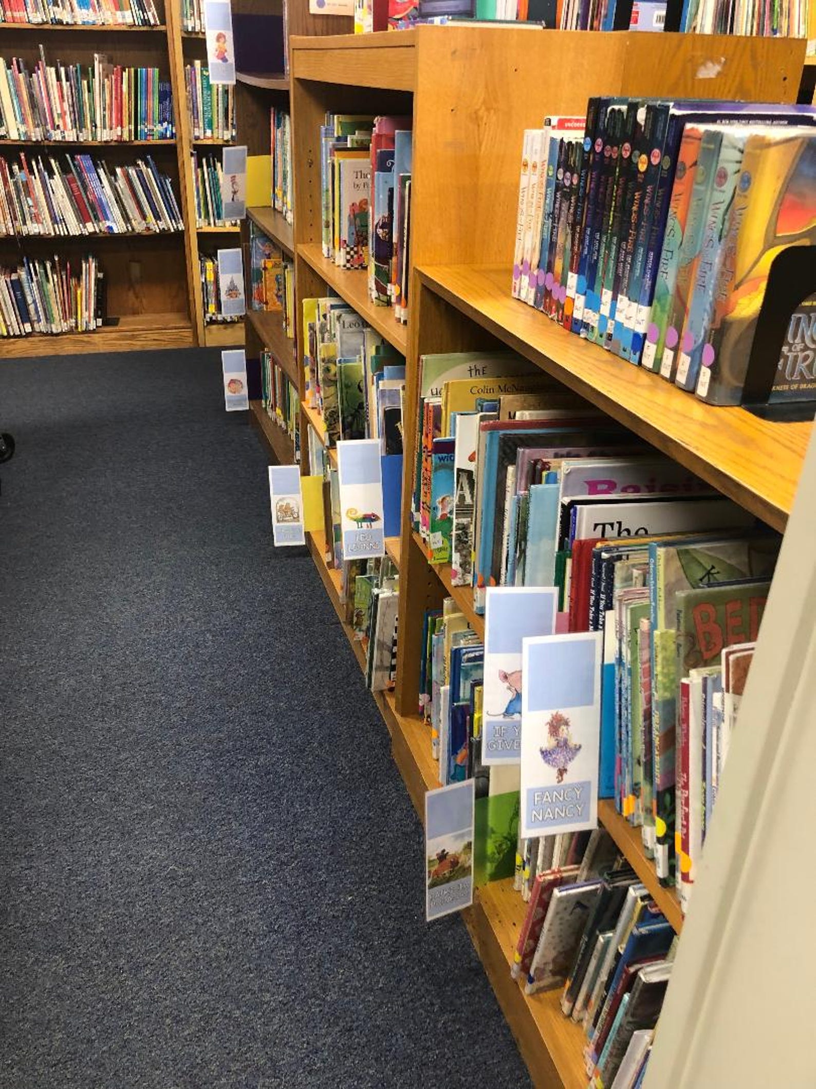 Nonfiction AND Fiction Library Shelf Dividers, Classroom Library Shelf ...