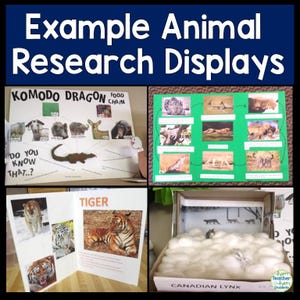 Animal Report | Animal Research Report & Display | Animal Research ...
