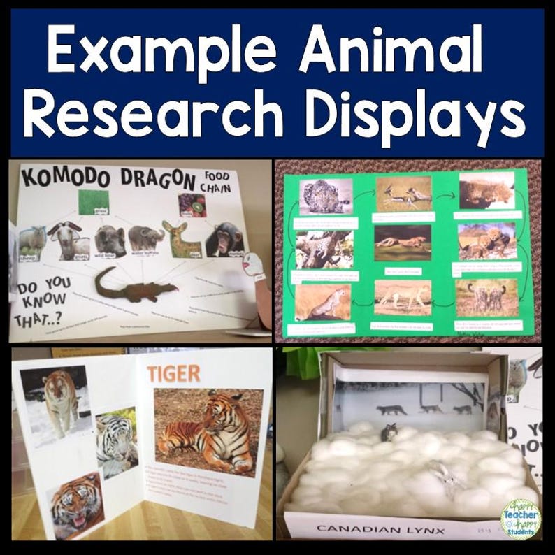 Animal Report | Animal Research Report & Display | Animal Research ...