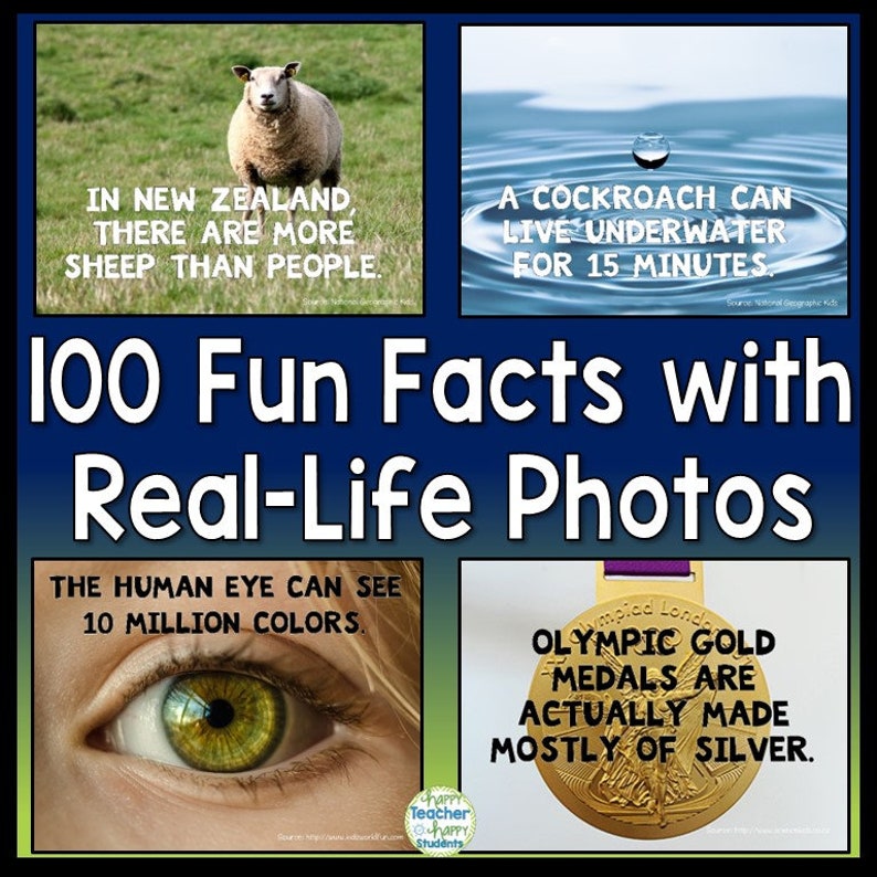 Daily Trivia: 100 Fun Daily Facts of the Day Funny & - Etsy