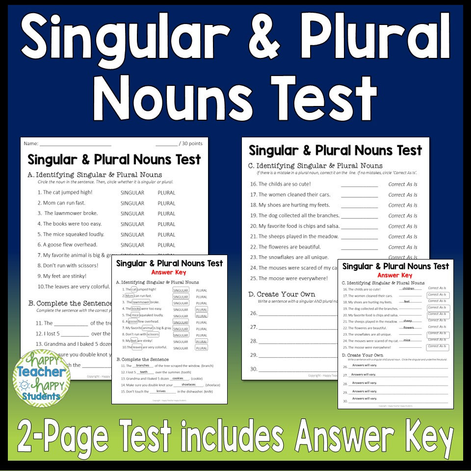 Singular & Plural Nouns Test: 2-page Singular and Plural Noun Quiz W ...