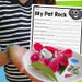 Pet Rock Craft and Writing Activity | Rocks & Minerals Activity or ...