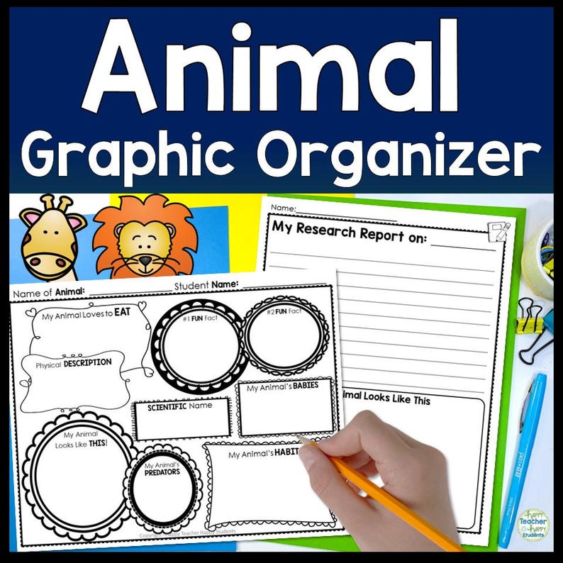 Animal Graphic Organizer | Animal Research Activity Poster & Animal ...