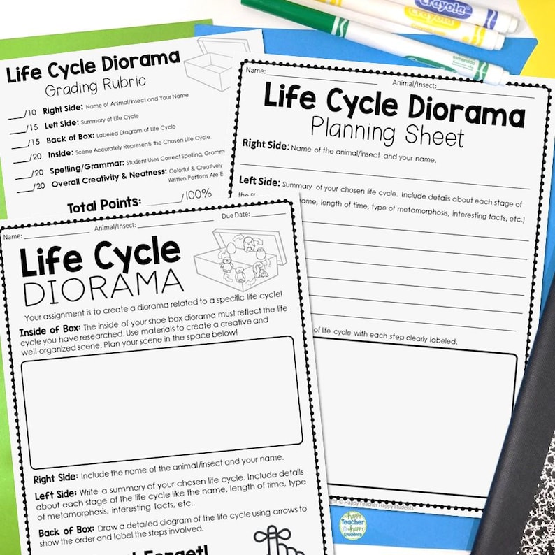 Life Cycle Project, Life Cycle Diorama, Use With ANY Animal Insect Life ...