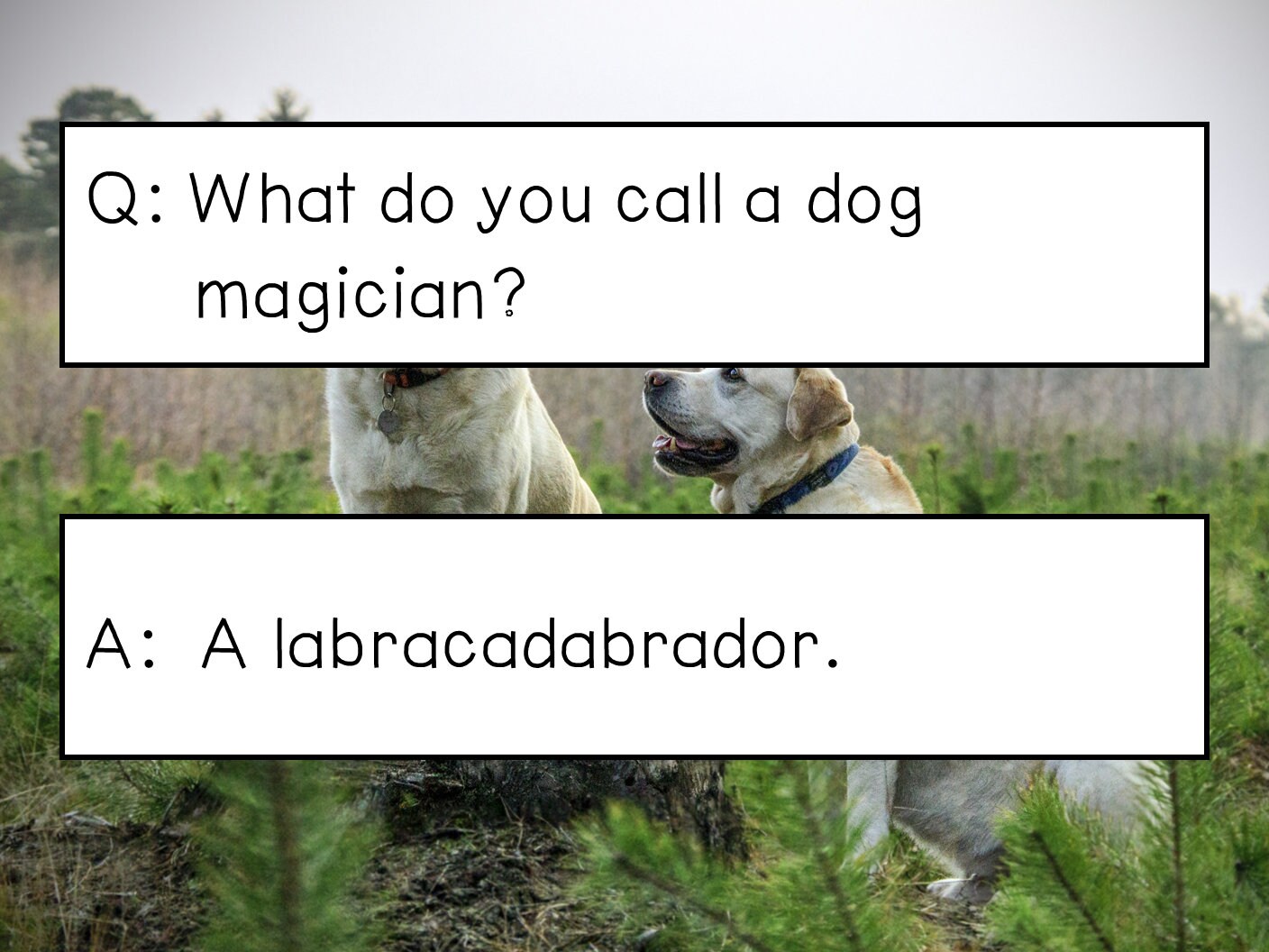 Jokes for Kids Printable 100 Jokes of the Day Printable Jokes for Kids ...