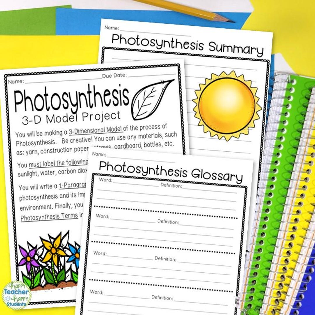 Photosynthesis Project: 3-D Model of Photosynthesis With Glossary ...