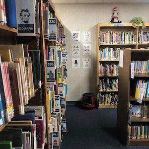 Nonfiction AND Fiction Library Shelf Dividers, Classroom Library Shelf ...