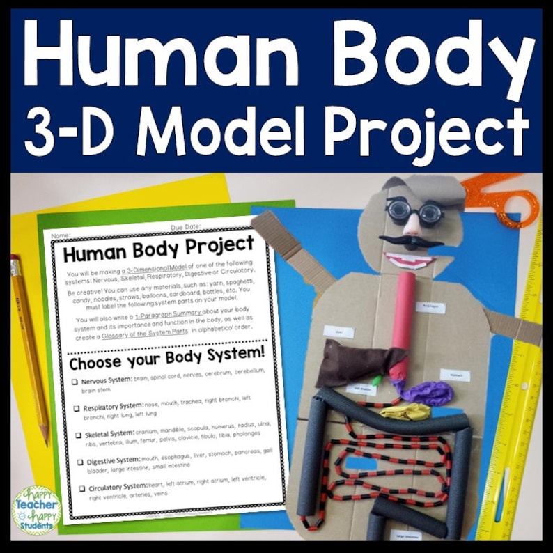 Human Body Project, Science Fair Idea, 3D Model Human Body, Body ...