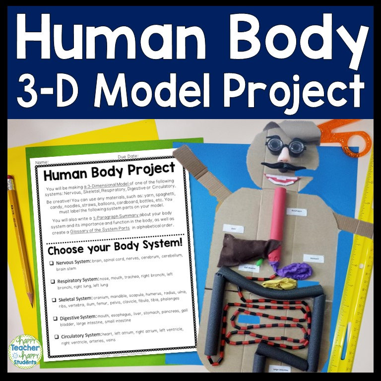 Human Body Project, Science Fair Idea, 3D Model Human Body, Body ...