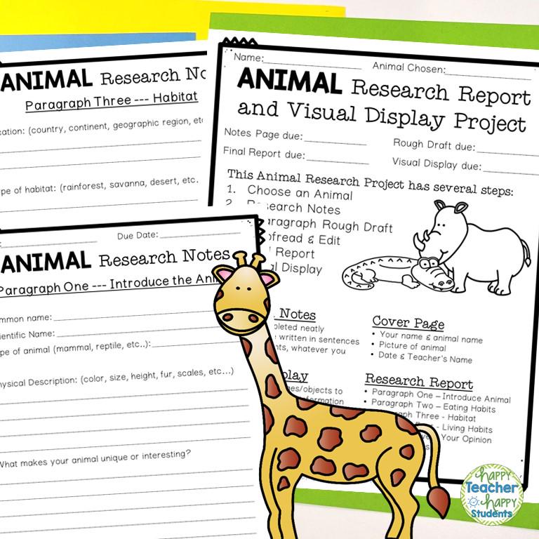 Animal Report | Animal Research Report & Display | Animal Research ...