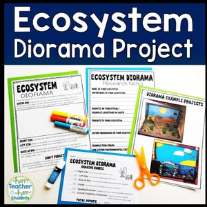 Ecosystem Project, Make a Shoebox Diorama, Use With ANY Ecosystem ...