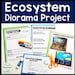 Ecosystem Project, Make a Shoebox Diorama, Use With ANY Ecosystem ...