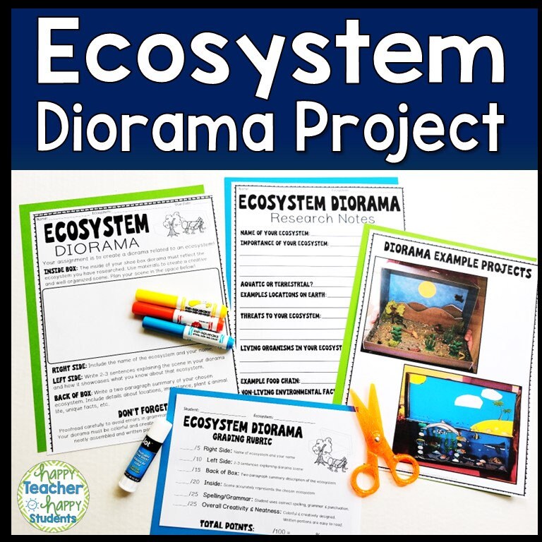 Ecosystem Project, Make a Shoebox Diorama, Use With ANY Ecosystem ...