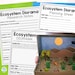 Ecosystem Project | Make a Shoebox Diorama | Use With ANY Ecosystem ...