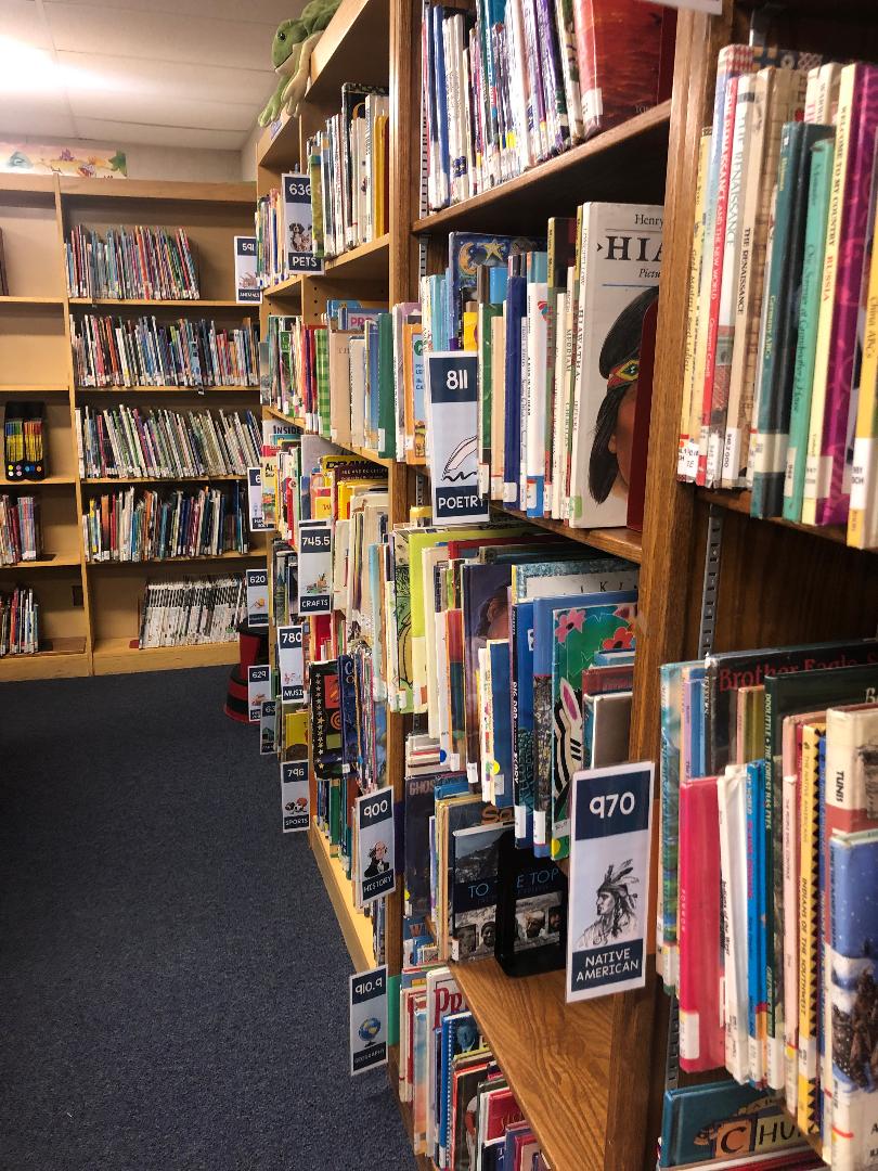 Nonfiction Library Shelf Dividers: 86 Book Labels for Nonfiction Books ...