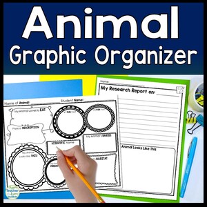 Animal Graphic Organizer Animal Research Activity Poster & Animal ...