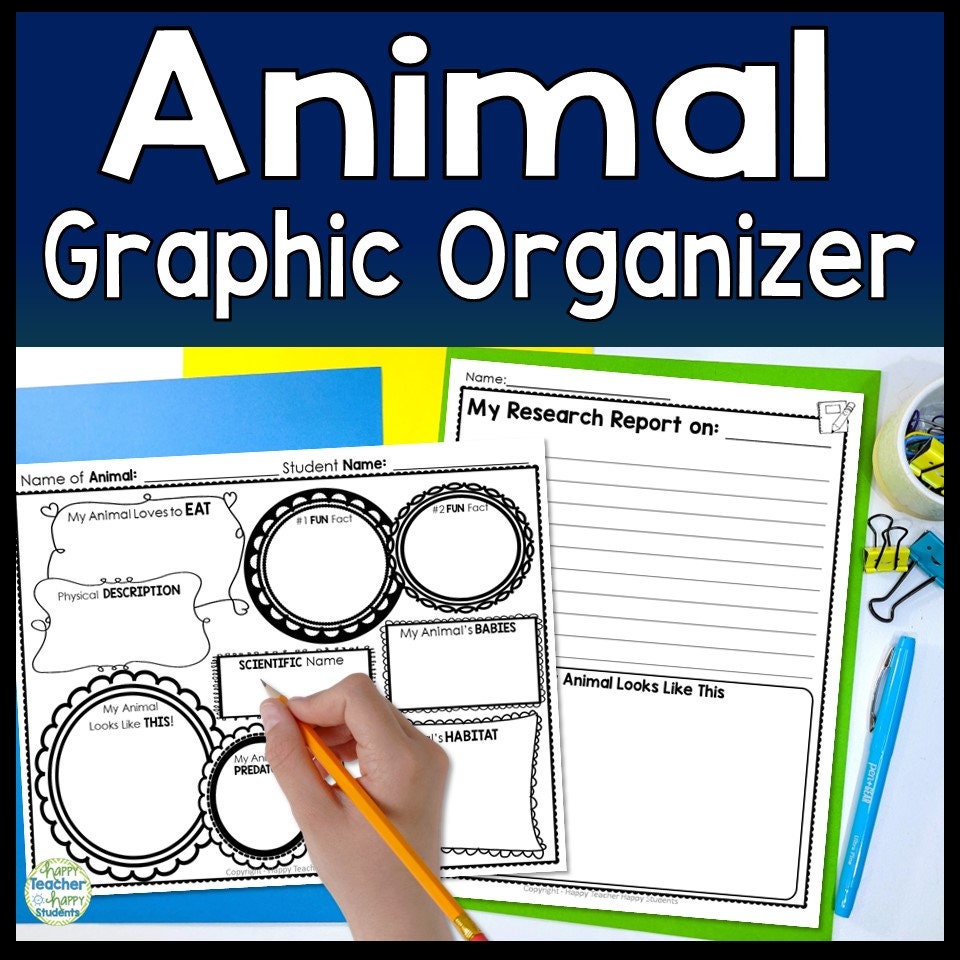 Animal Graphic Organizer Animal Research Activity Poster & Animal ...