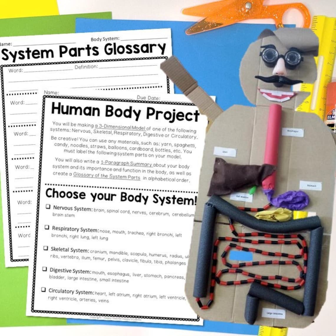 Human Body Project, Science Fair Idea, 3D Model Human Body, Body ...