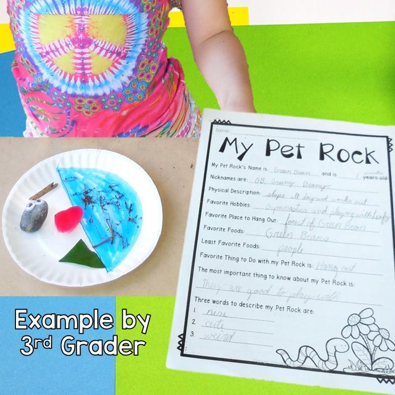 Pet Rock Craft and Writing Activity | Rocks & Minerals Activity or ...