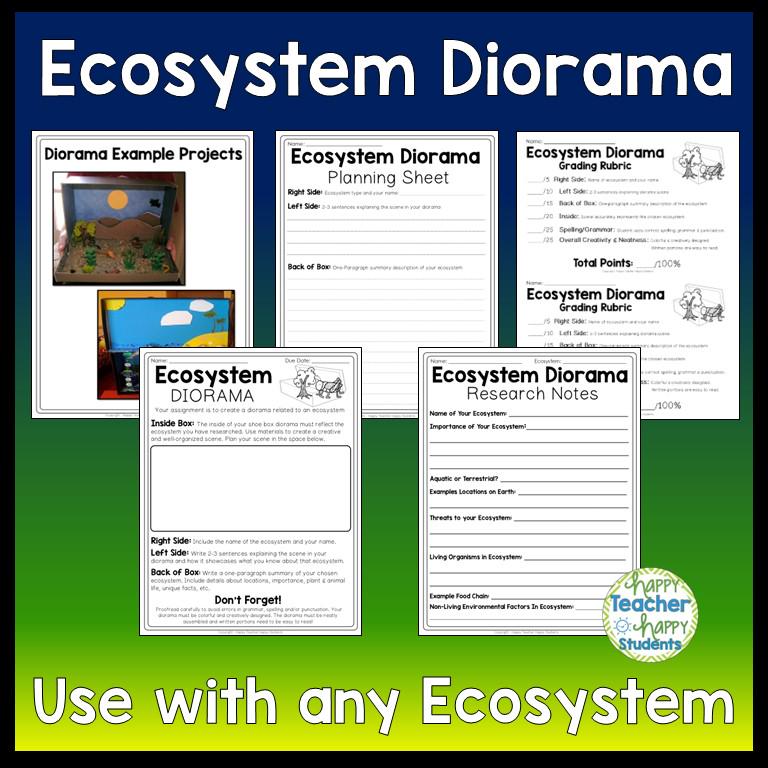 Ecosystem Project, Make a Shoebox Diorama, Use With ANY Ecosystem ...